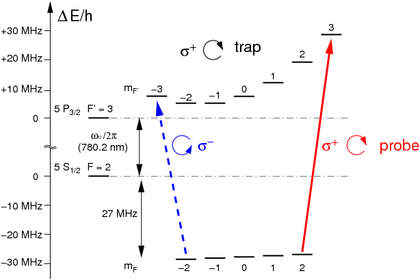 Single atom quantum interfaces