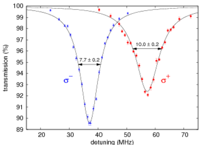 Single atom quantum interfaces