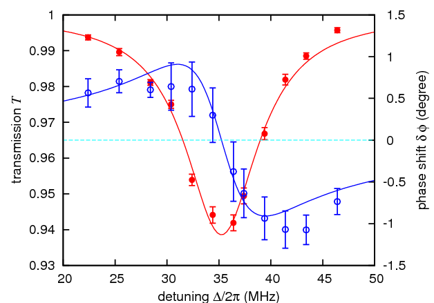 Single atom quantum interfaces